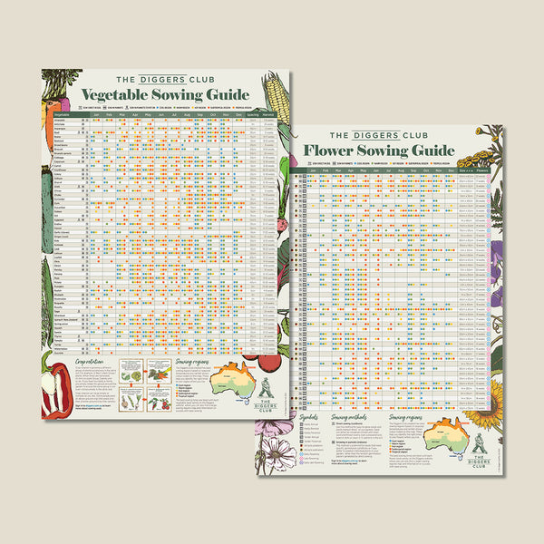 Diggers Heirloom Poster Duo - The Diggers Club