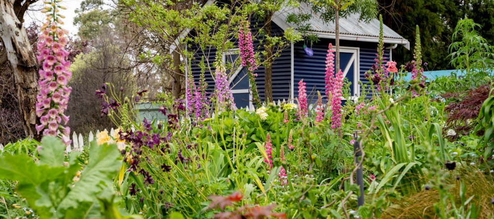A Secret Garden in the Adelaide Hills - The Diggers Club