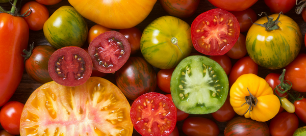 2021 Tomato taste test results - The Diggers Club