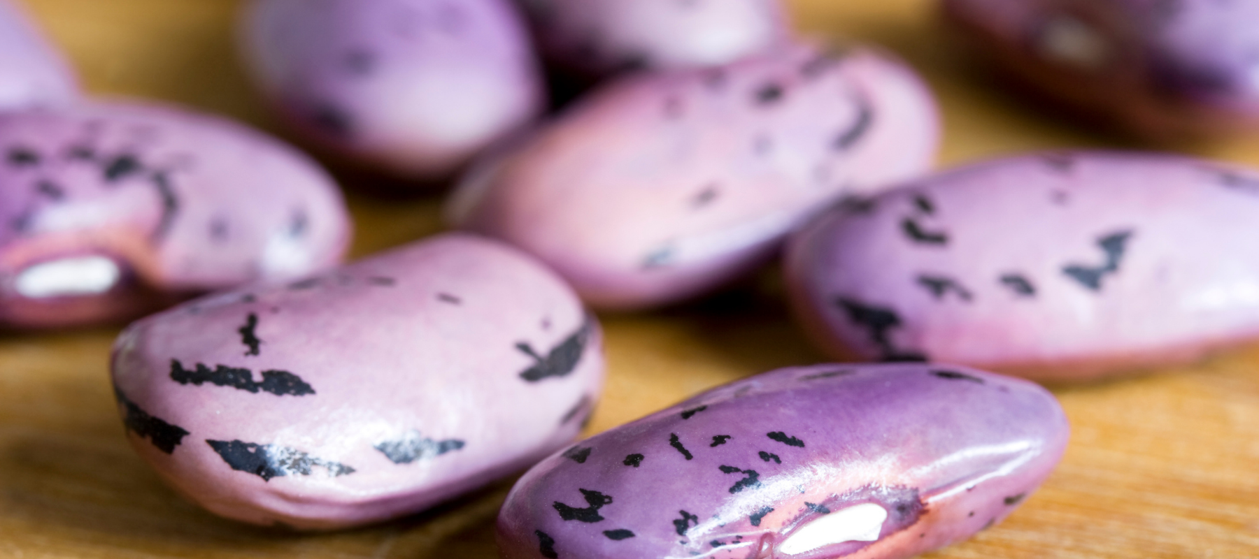 How to Grow Runner Beans - The Diggers Club