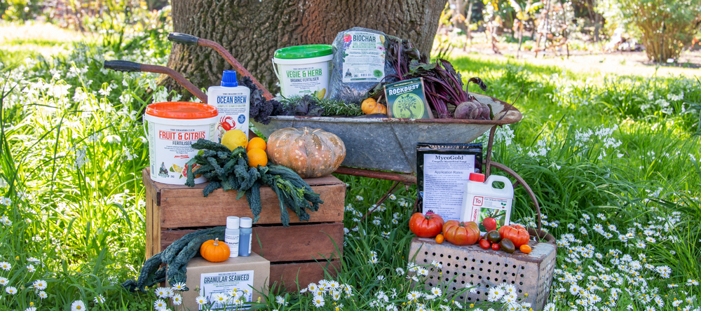 How to choose the right fertiliser - The Diggers Club