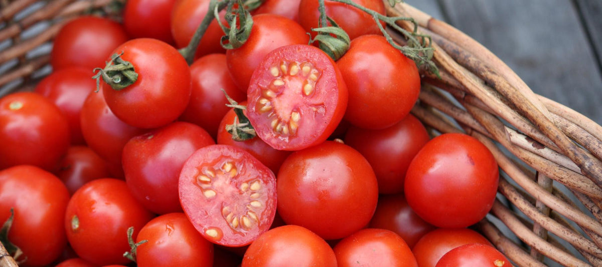 Soil preparation for successful tomatoes - The Diggers Club