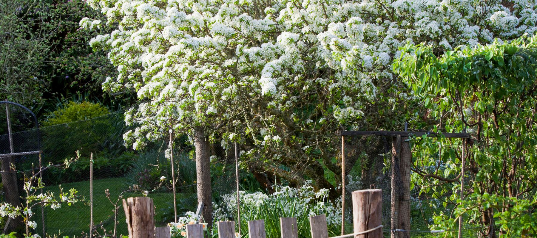 Spring Garden 2024 Magazine - The Diggers Club