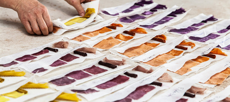 The art of making natural dyes - The Diggers Club