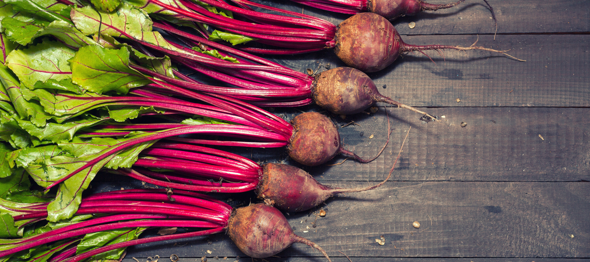 How to Grow Beetroot - The Diggers Club