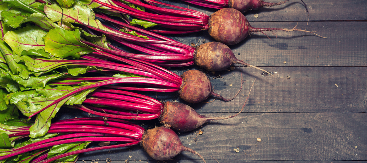 How to Grow Beetroot - The Diggers Club