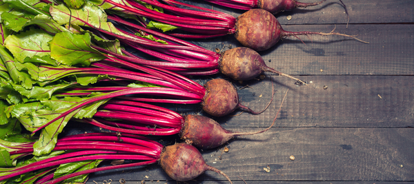 How to Grow Beetroot - The Diggers Club