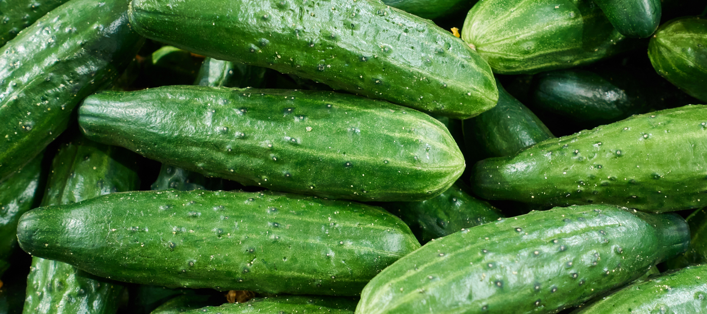 How to Grow Cucumber - The Diggers Club