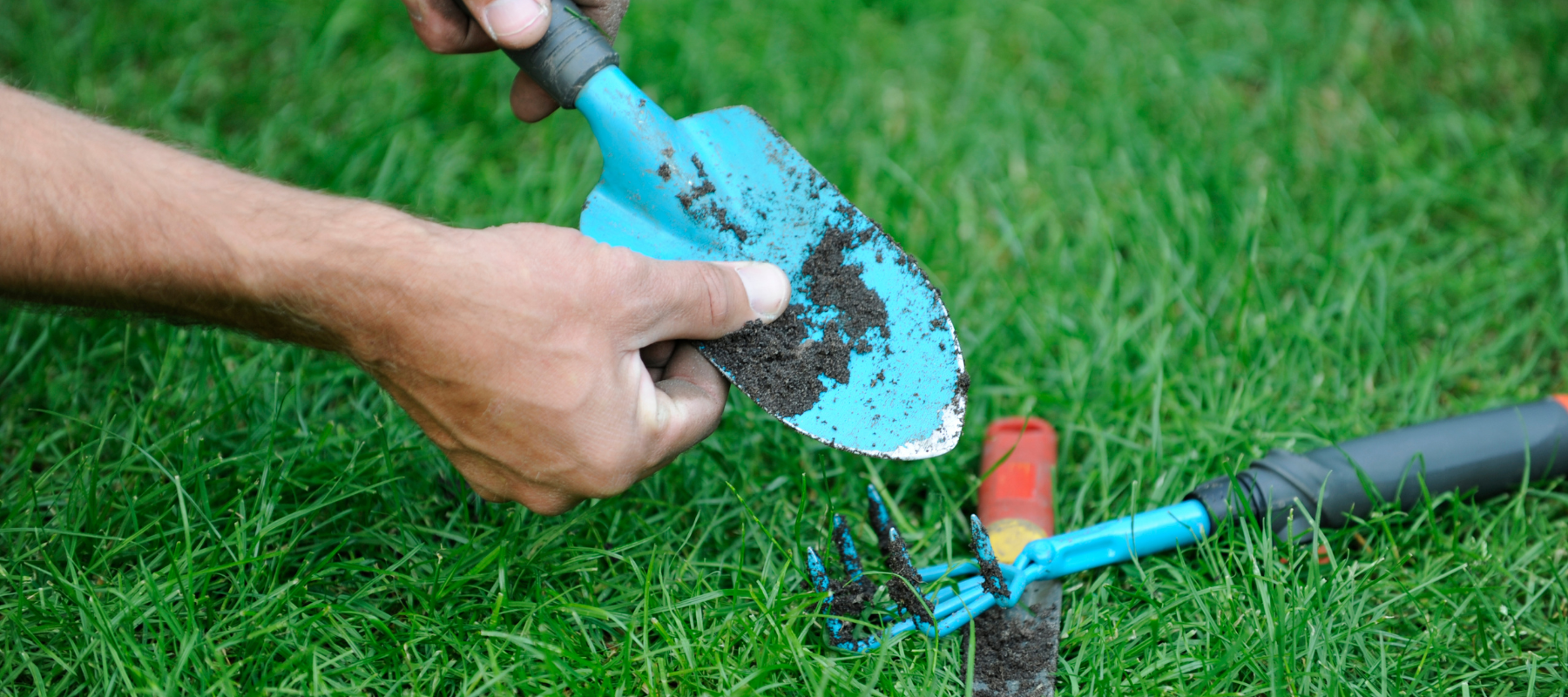 How to maintain and care for your gardening tools - The Diggers Club