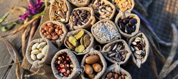 What are Heirloom Seeds - The Diggers Club