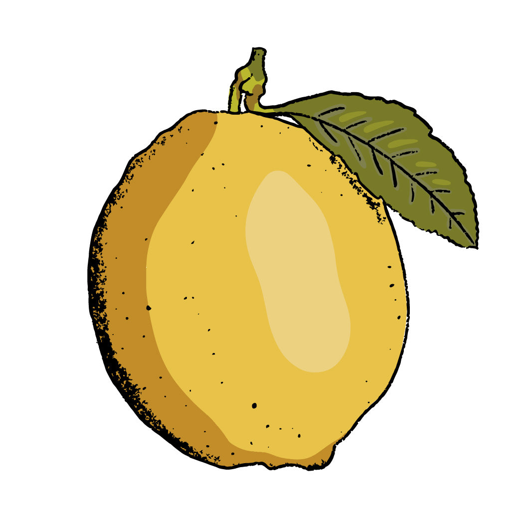 Lemon - The Diggers Club