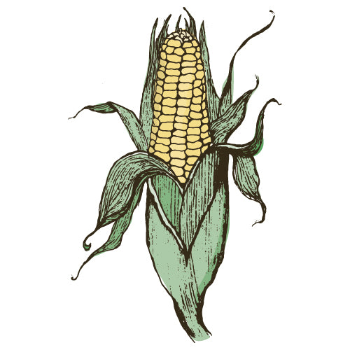 Corn - The Diggers Club