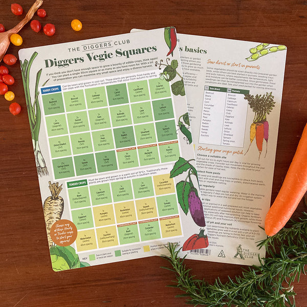 Diggers Vegie Squares Chart - The Diggers Club