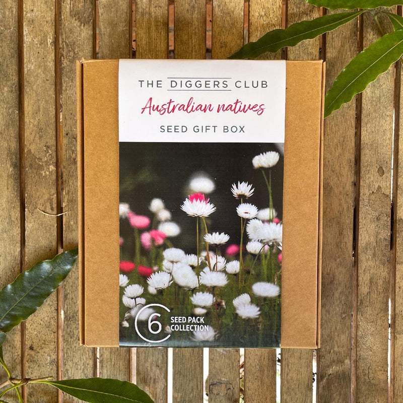 Australian Native Seed Gift Box - The Diggers Club