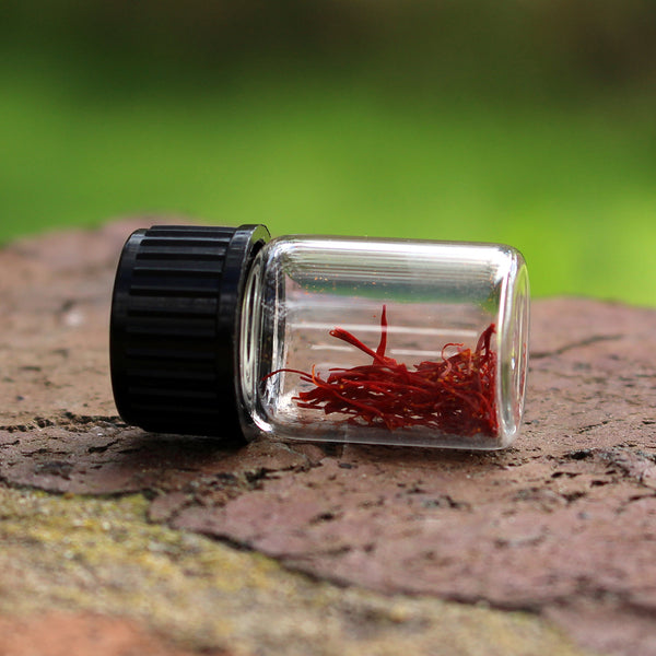 Saffron Crocus - Assorted pack sizes - The Diggers Club