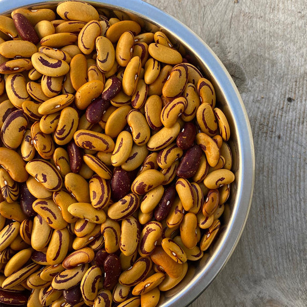 Bean 'Tiger's Eye' (Organic) - The Diggers Club