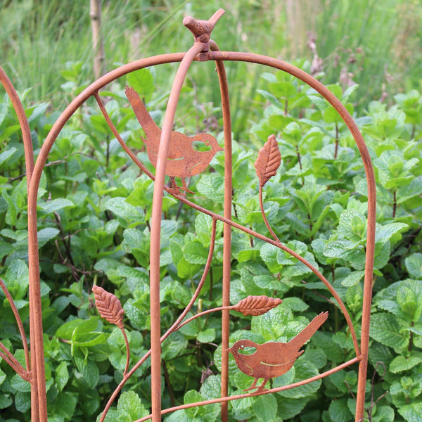 Growing Frames - The Diggers Club