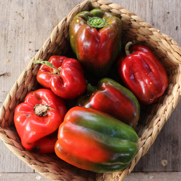 Capsicum - The Diggers Club