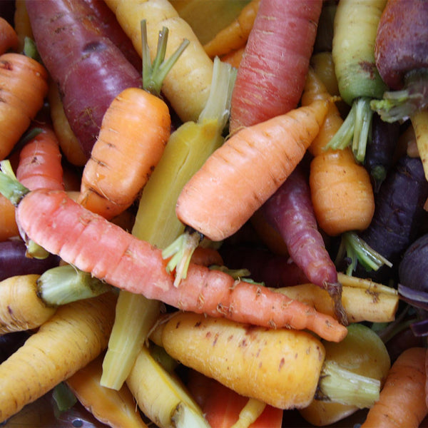 Carrot Heirloom Mix - The Diggers Club