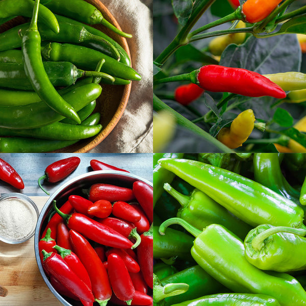 Chilli Flavour Fiesta Collection - The Diggers Club