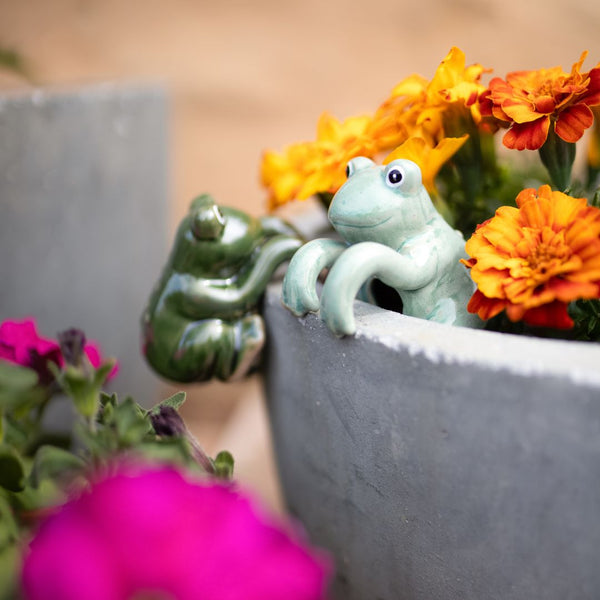 Frog Pot Sitter – Set of 3 - The Diggers Club