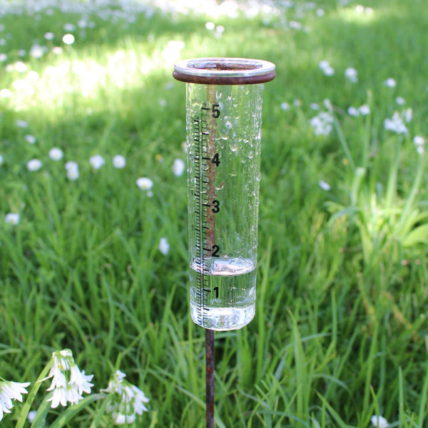 Rain Gauge - The Diggers Club
