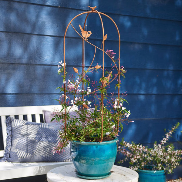 Growing Frames - The Diggers Club