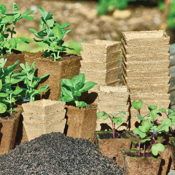 120 Small Peat Pots - The Diggers Club