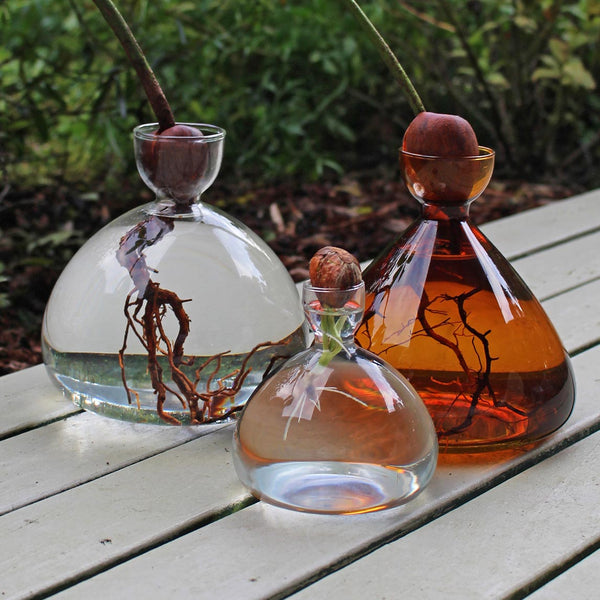 Propagation Vase - The Diggers Club