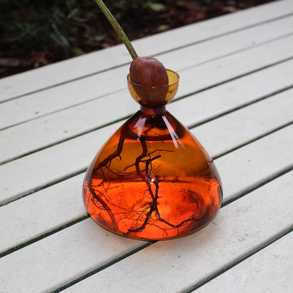 Propagation Vase - The Diggers Club