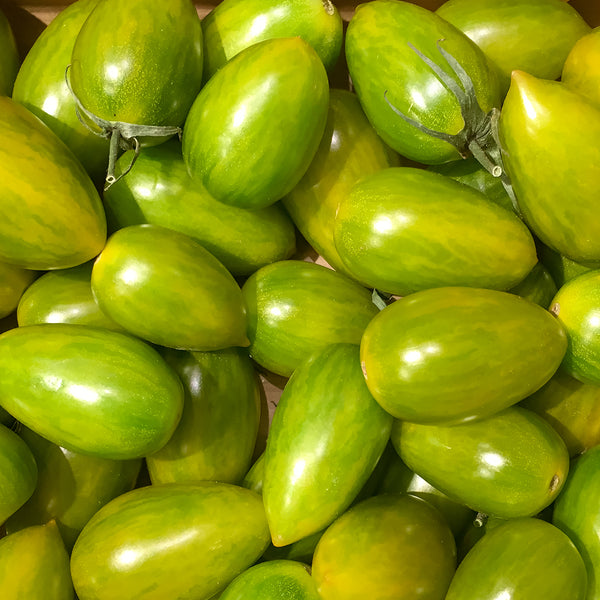 Tomato 'Green Tiger' (Organic) - The Diggers Club