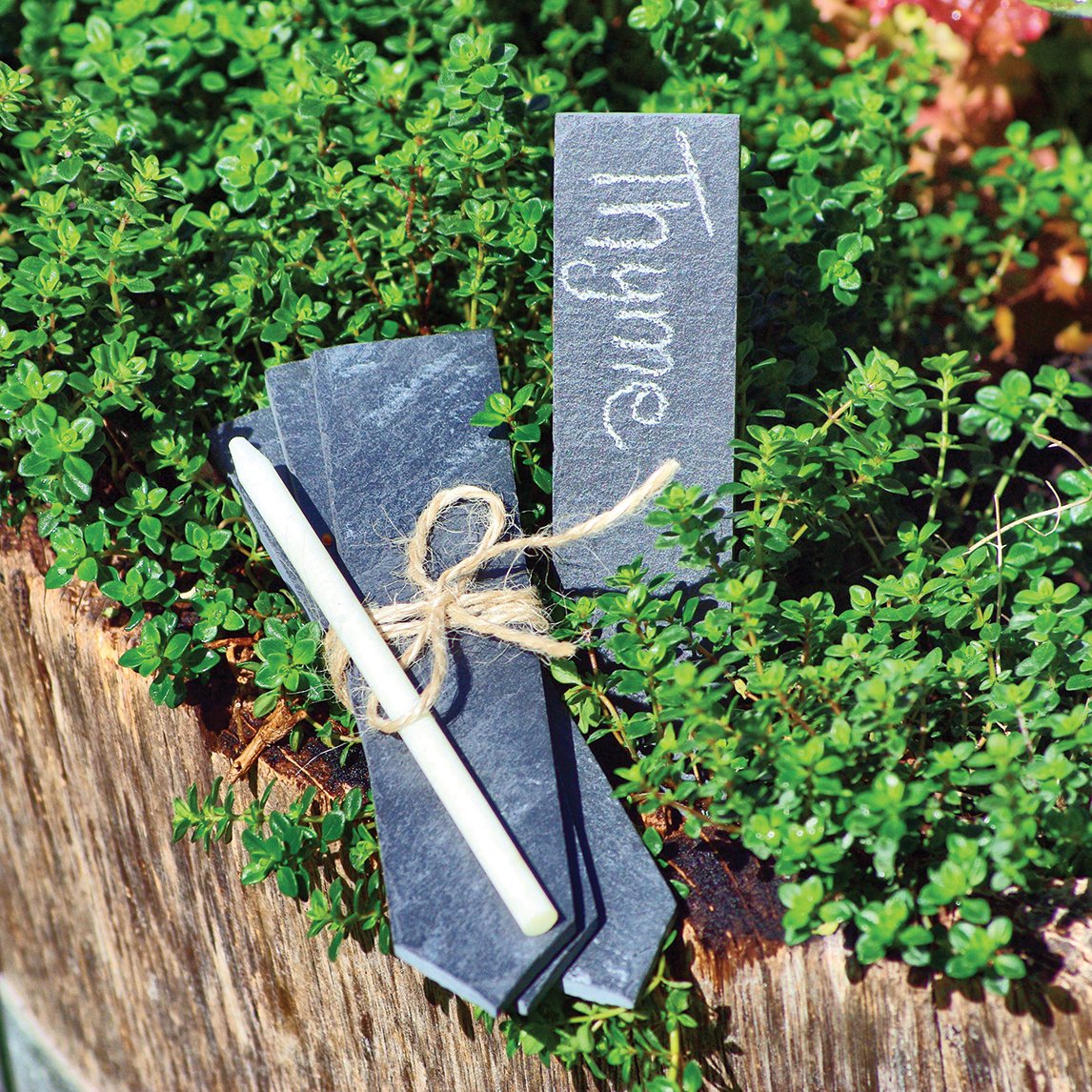 The gift shop - The Diggers Club
