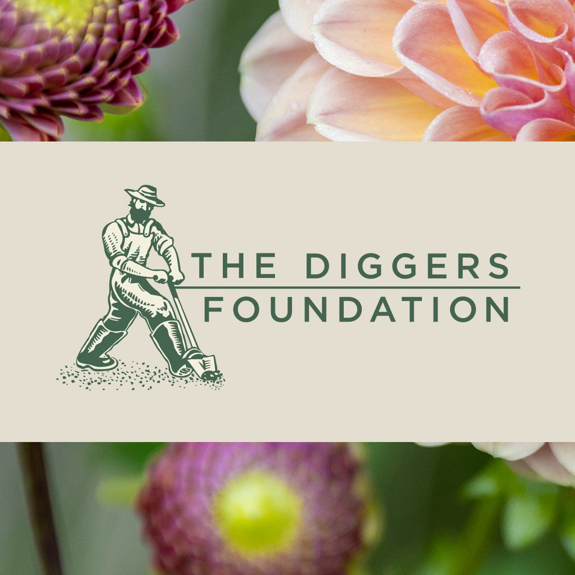 Garden shop - The Diggers Club
