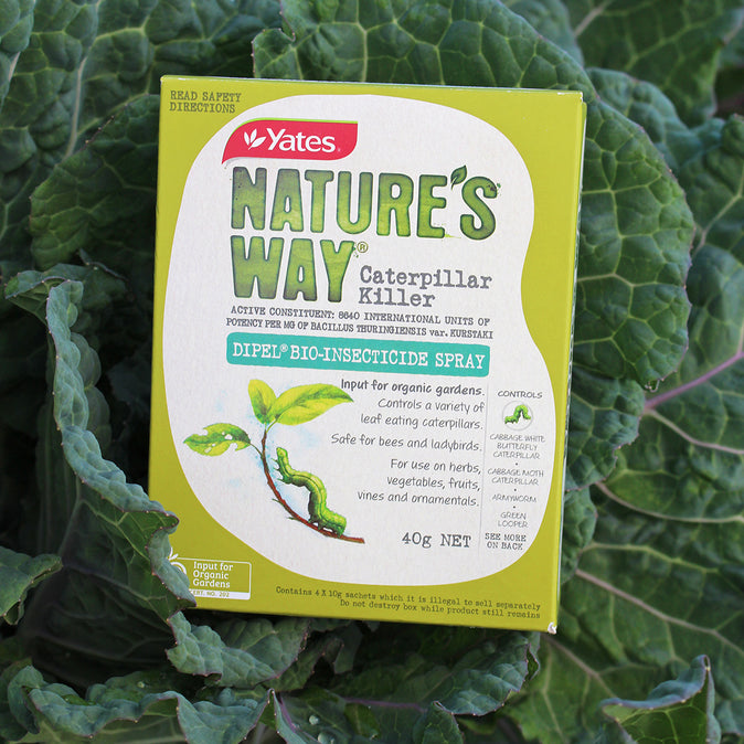 Garden guide: April - Warm Region - The Diggers Club