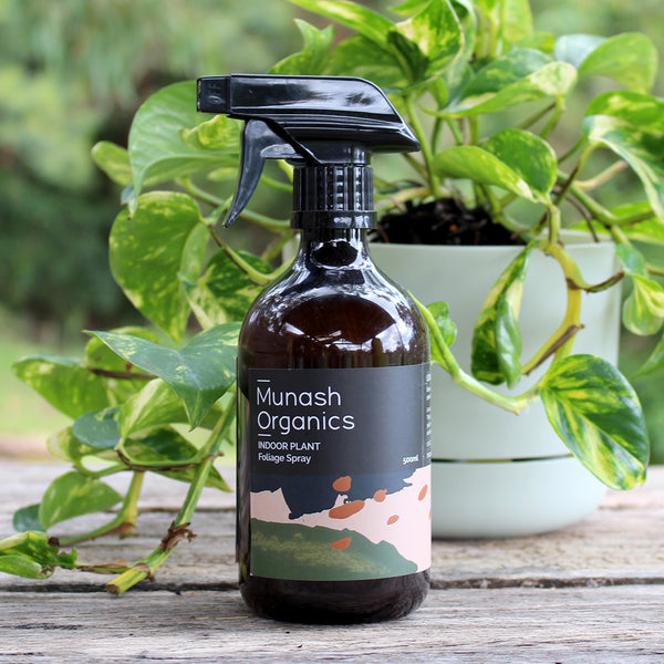 Indoor Plant Foliage Spray - The Diggers Club