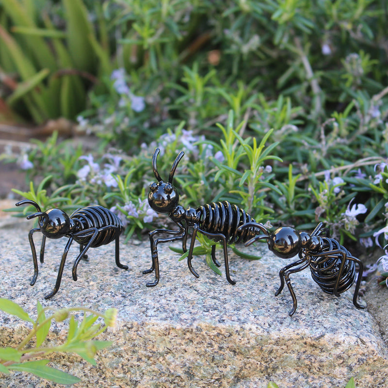 Ants Wire - 3 Pack available - The Diggers Club