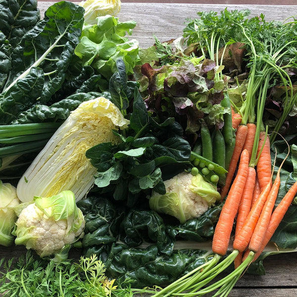 Vegetable Collections - The Diggers Club