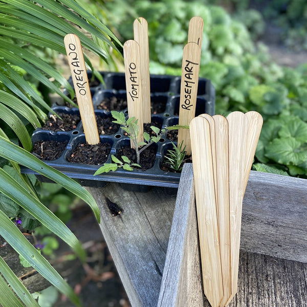 Bamboo Plant Labels - The Diggers Club