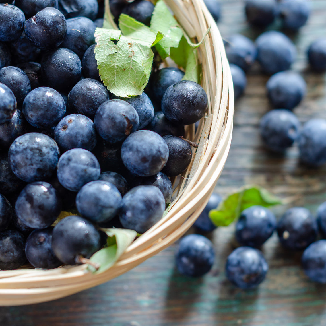 Blueberry - The Diggers Club