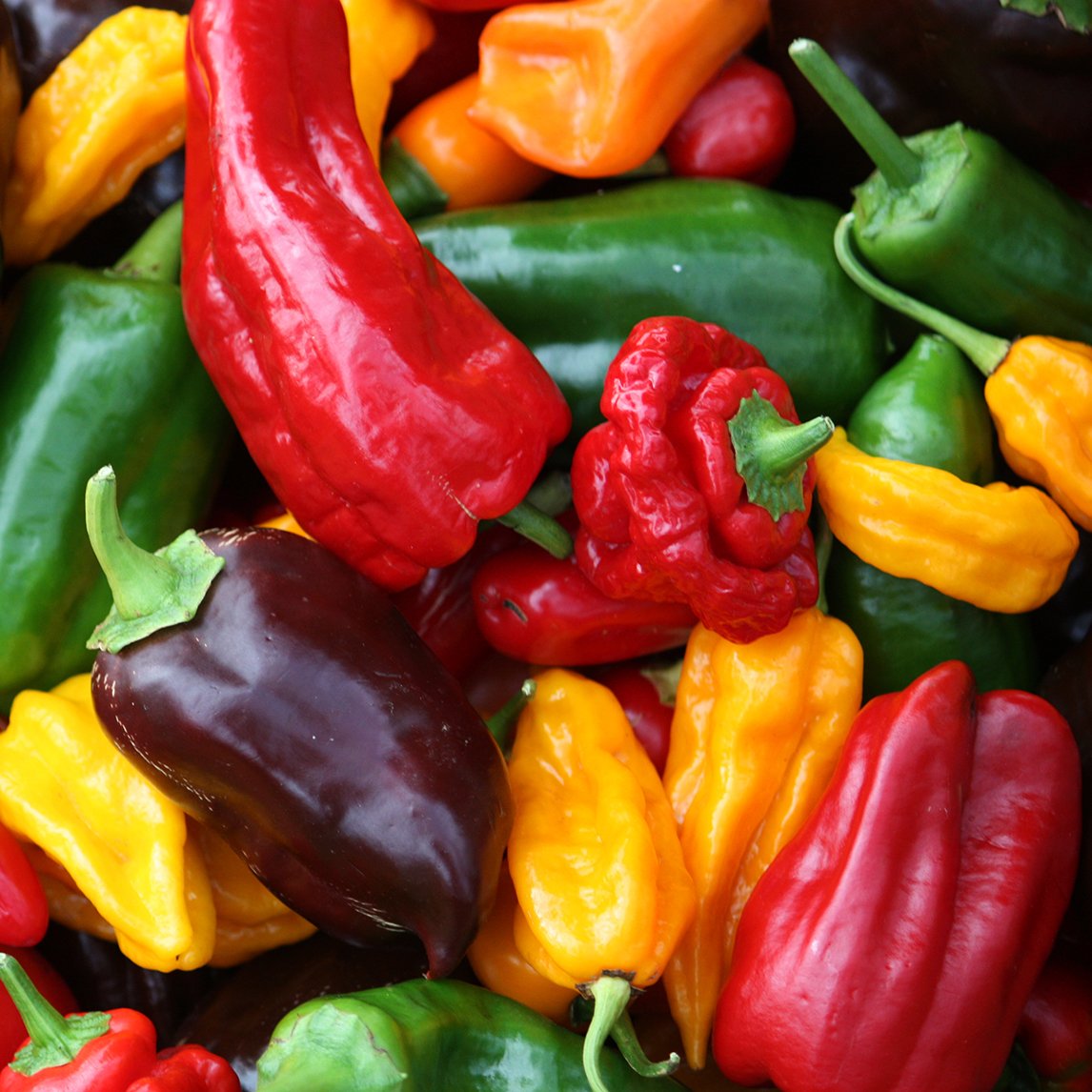 Capsicum Mixed Italian Fryers - The Diggers Club