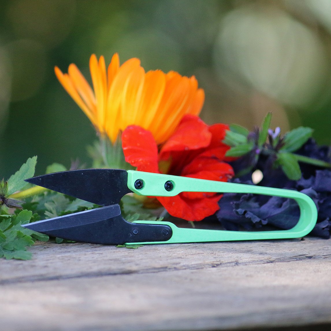 Mini Shears - The Diggers Club
