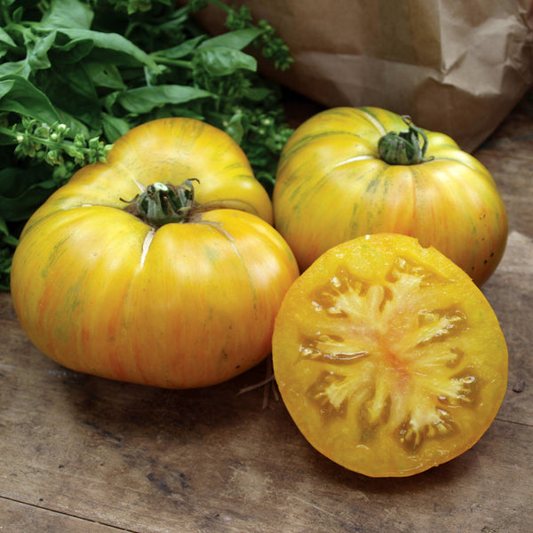 Tomato 'Big Beryl' (Organic) - The Diggers Club