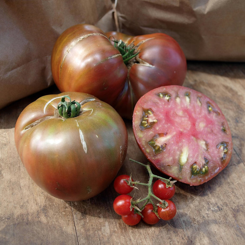 Tomato 'Ananas Noir' (Organic) - The Diggers Club